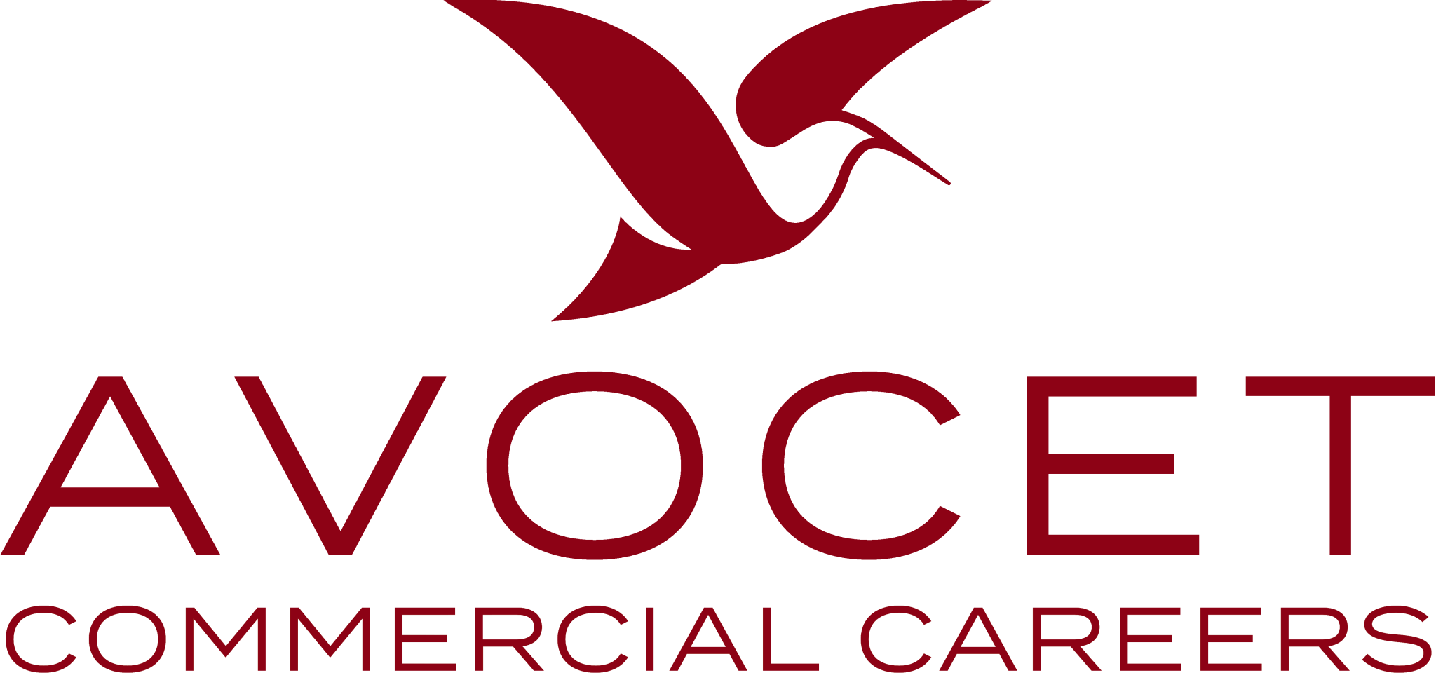 What Is Commercial Experience?